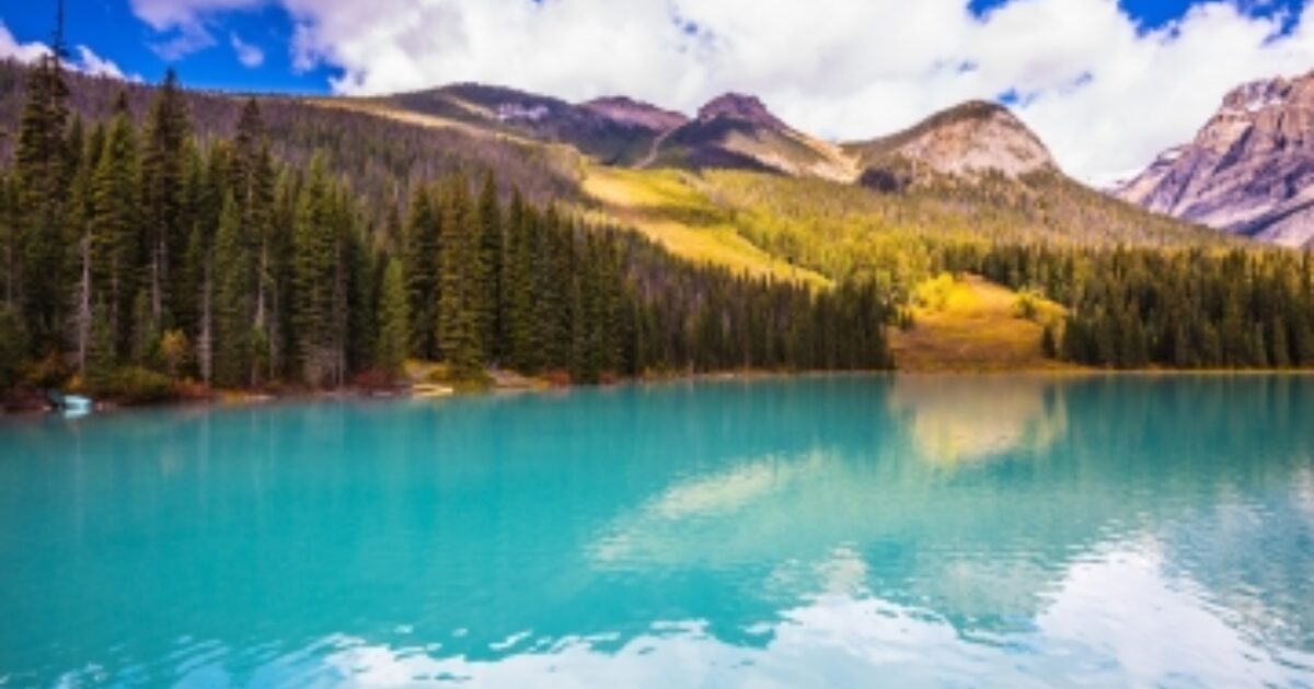 Record New Low Points Thresholds in Latest BC Immigration Draw ...