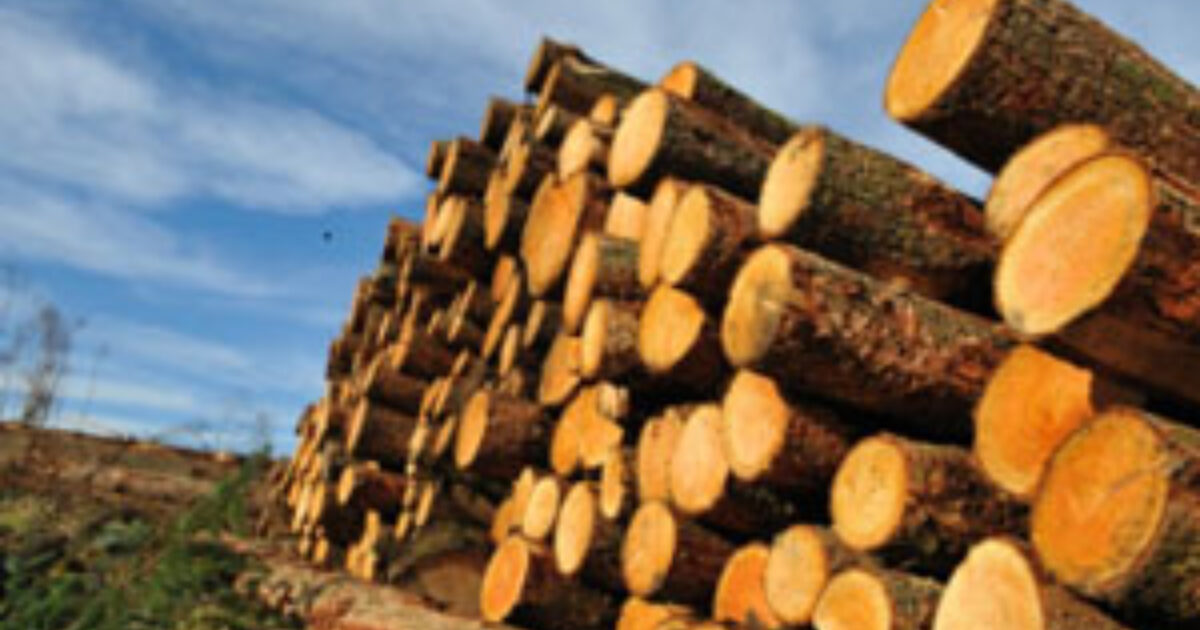 Natural Resources Fuel 20% of Canada's Economy | Canadavisa.com