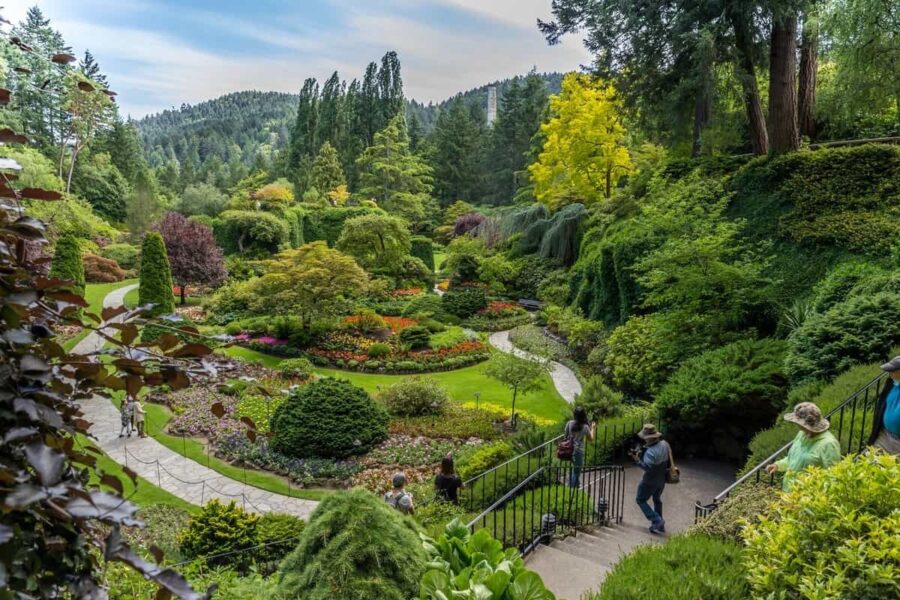 Move To Canada From The US Immigration Work Study Visa Options move-to-canada-from-the-us-immigration-work-study-visa-options