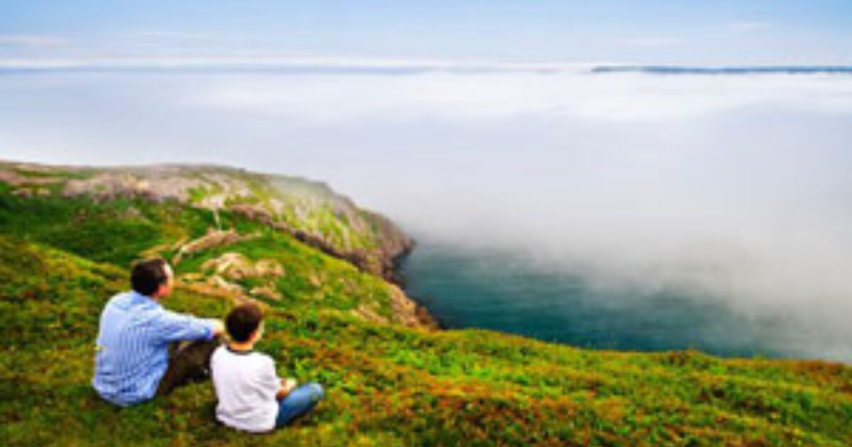 Newfoundland And Labrador To Provide Details Of Express Entry Category ...