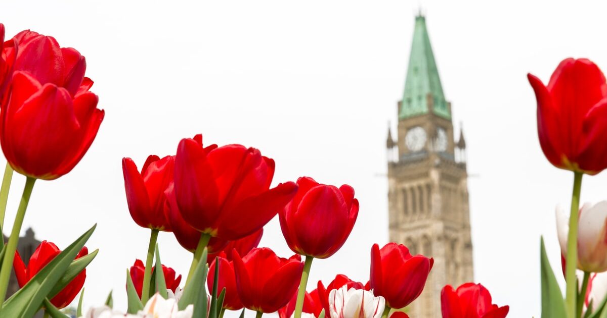 Applications to extend temporary status while inside Canada must now be ...